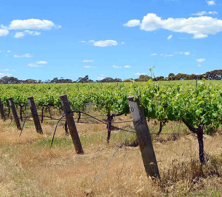Grampians Wine – Cellar doors - Bests Wines | Grampians Winery | Great ...