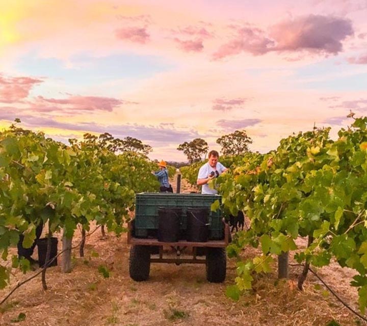 Grampians Wine – Cellar doors - Bests Wines | Grampians Winery | Great ...