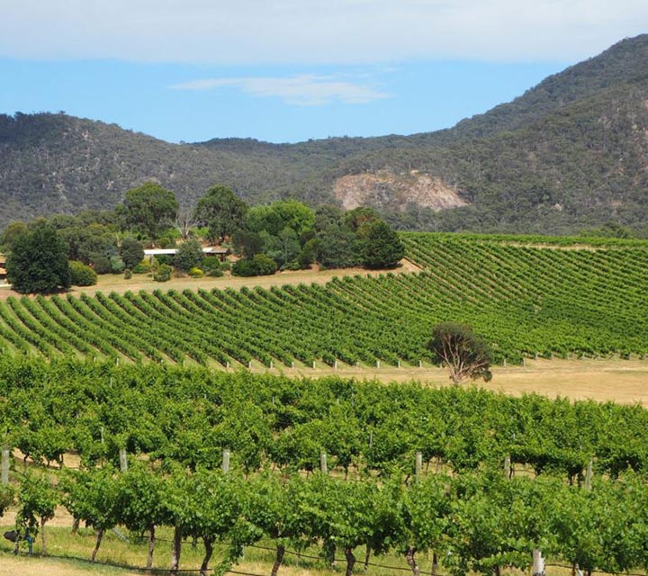 Grampians Wine – Cellar doors - Bests Wines | Grampians Winery | Great ...