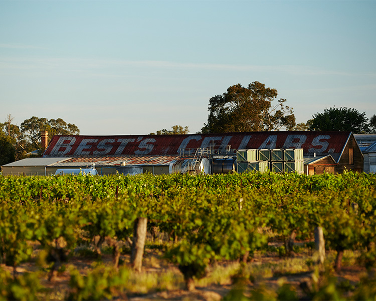Home - Bests Wines | Grampians Winery | Great Western